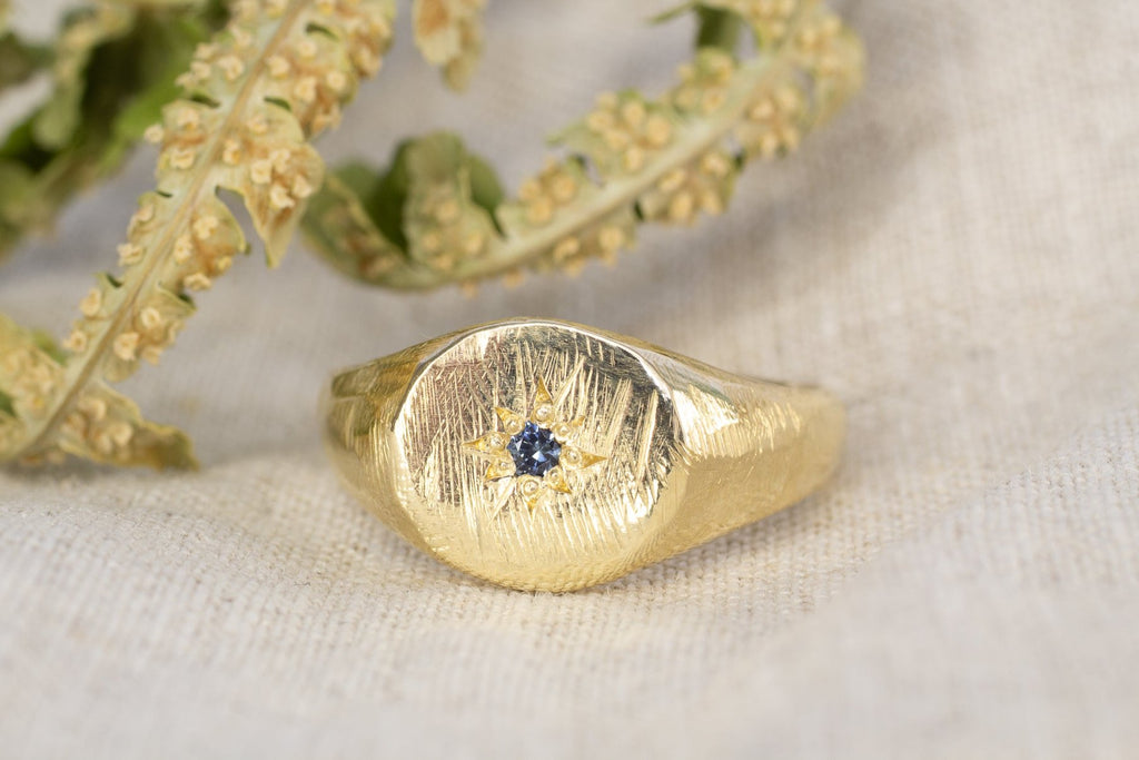 Sirius Signet Ring - 9ct Yellow Gold with Blue Sapphire – Sophie Divett ...